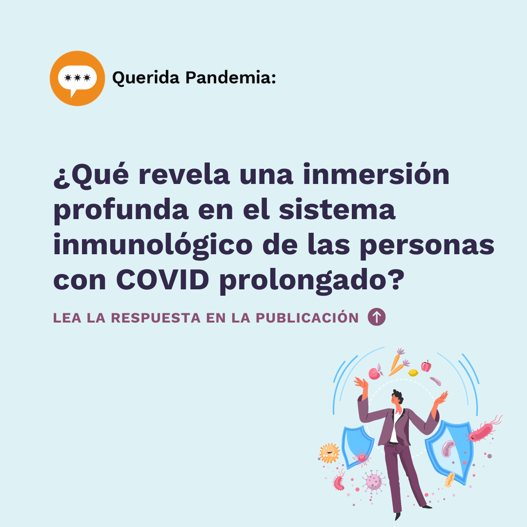 ¿Qué revela una inmersión profunda en el sistema inmunológico de las ...