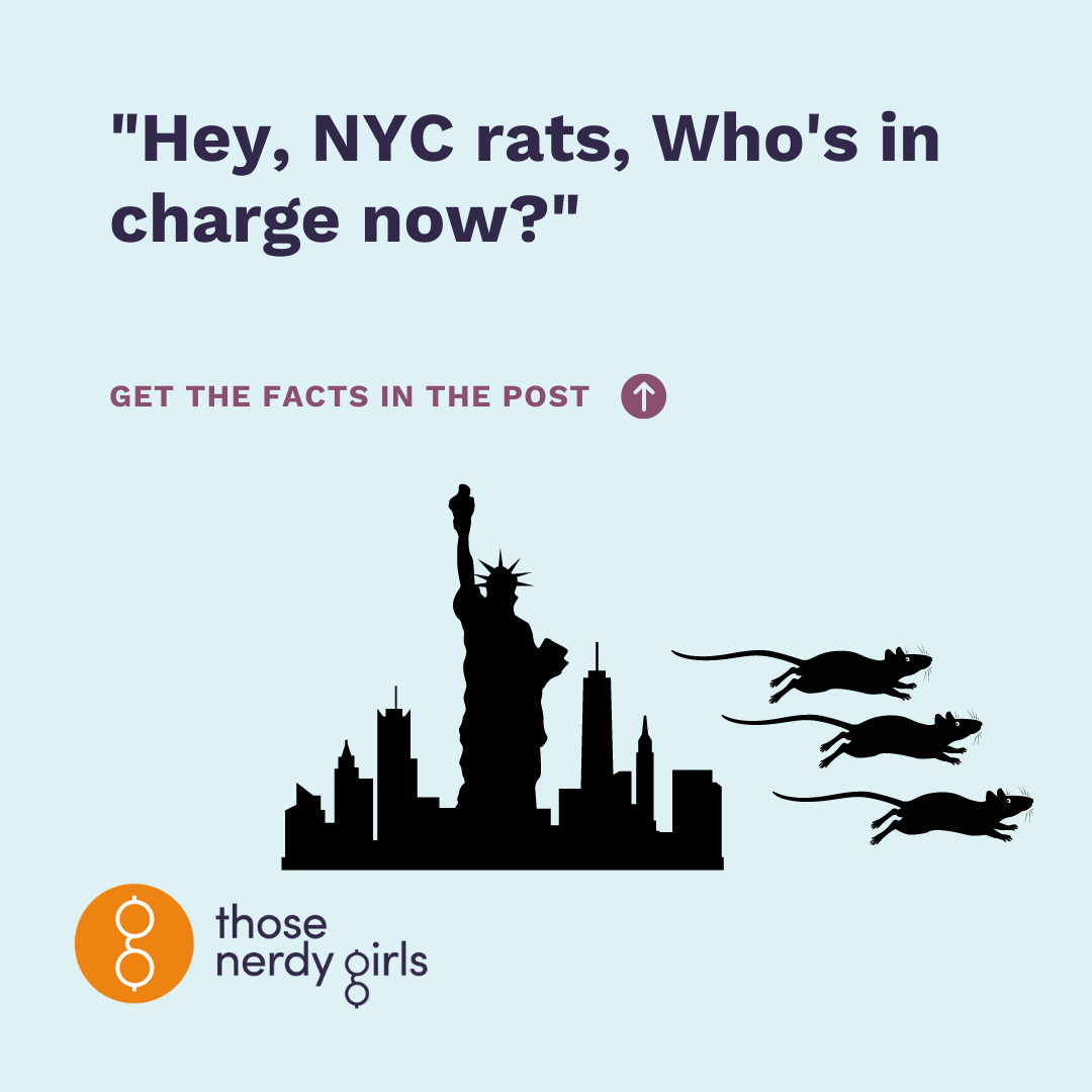Hey, NYC Rats! Who’s in charge now? — Those Nerdy Girls