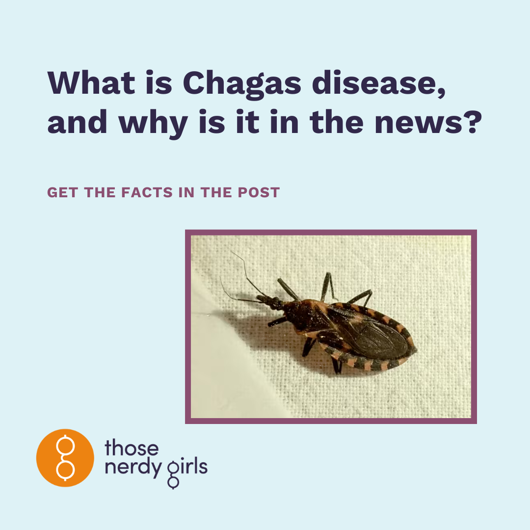 What is Chagas disease, and why is it in the news? — Those Nerdy Girls